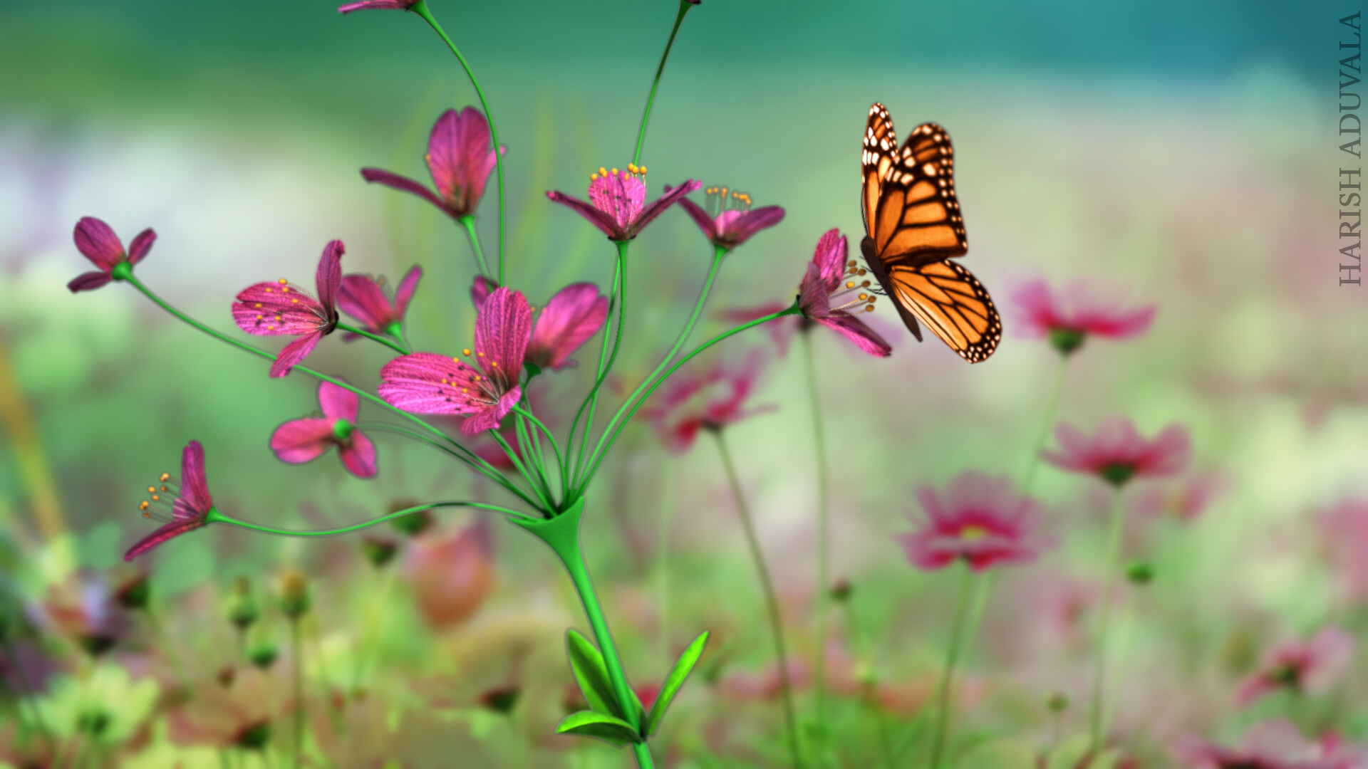 ArtStation - The Butterfly and Flowers