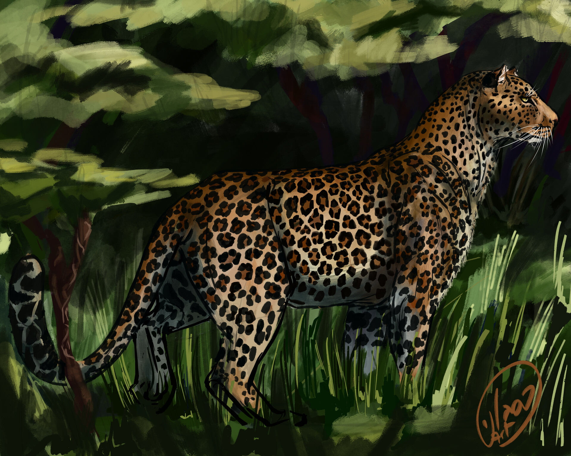 ArtStation - leopard