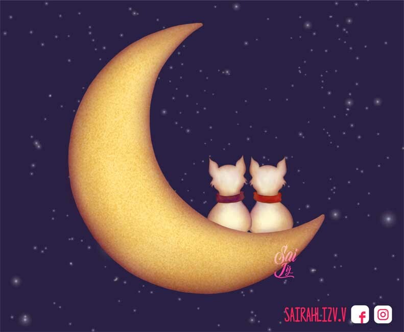 ArtStation - A magical cat world