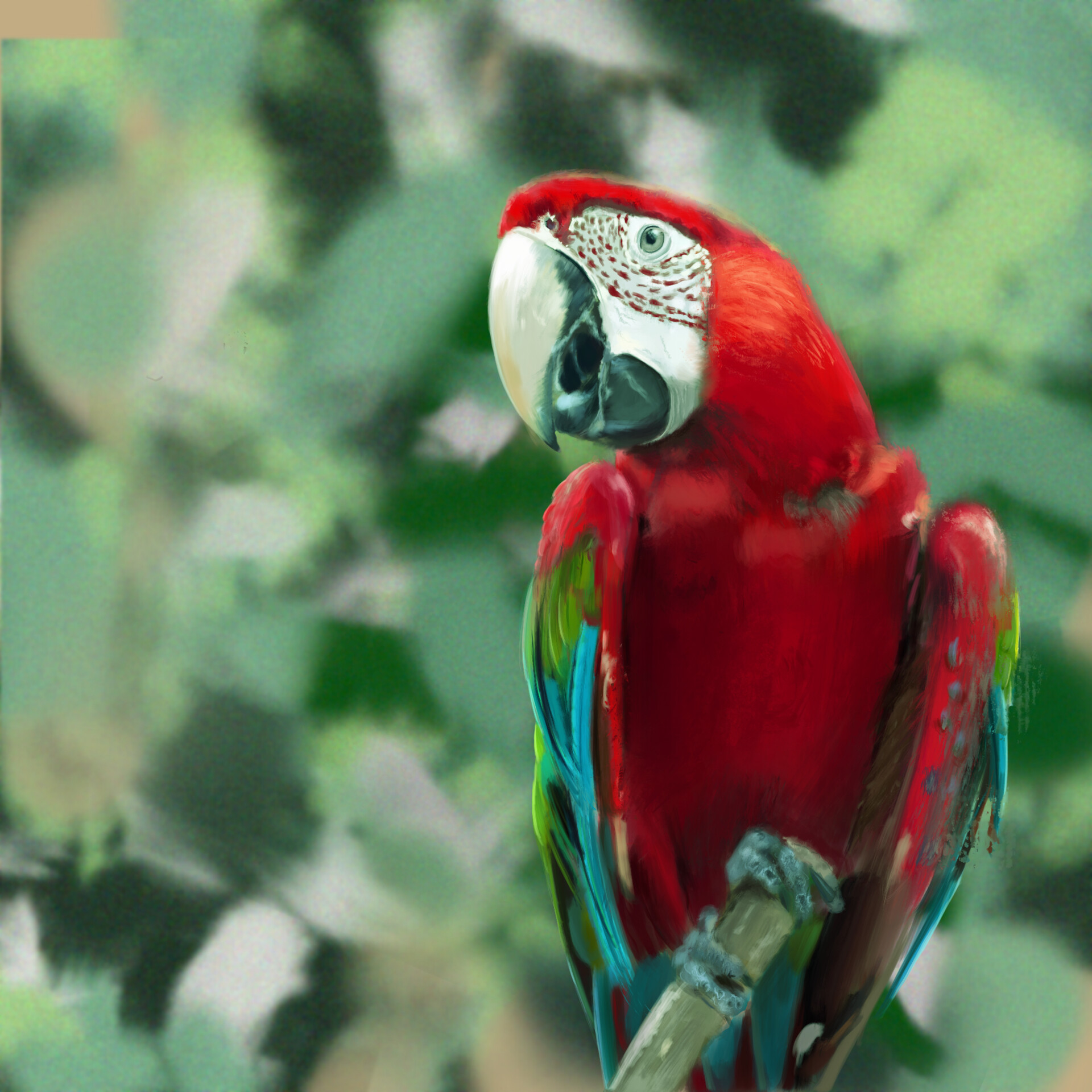 ArtStation - Procreate Digital Painting || Macaw