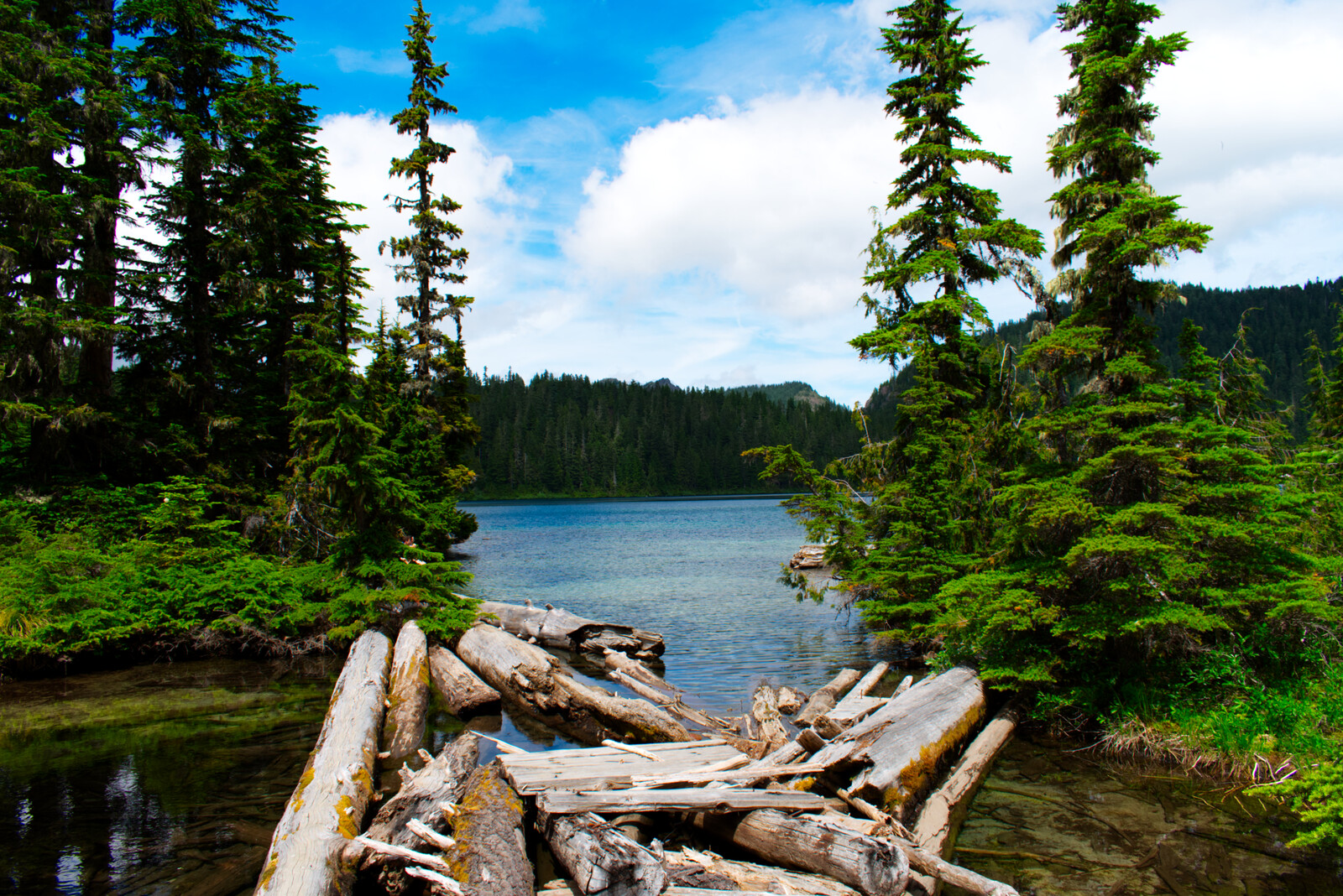 Andy Burt - Outdoor Shots