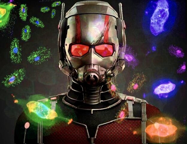 ArtStation - Ant-Man Fan Poster