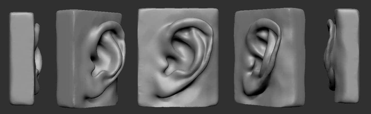 ArtStation - Ears (WIP)