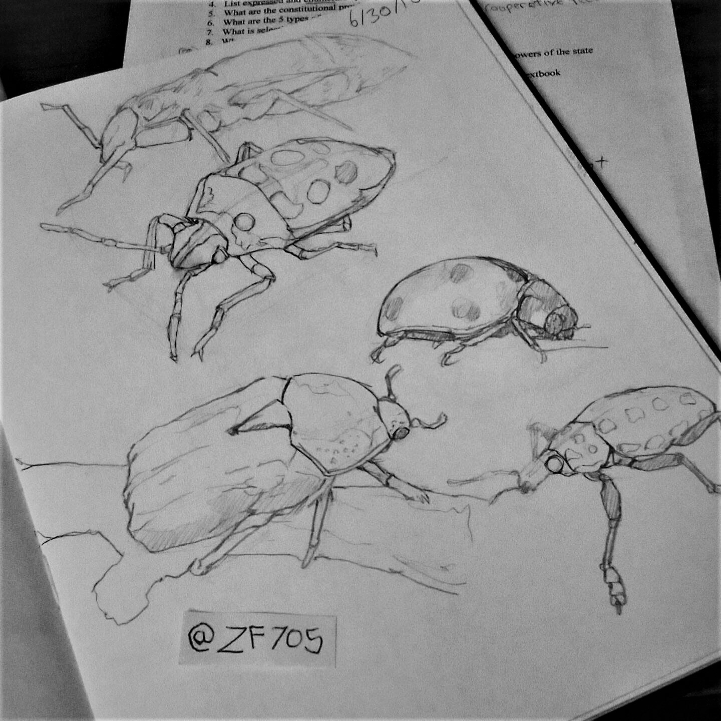 ArtStation - Sketch 2 - Bugs