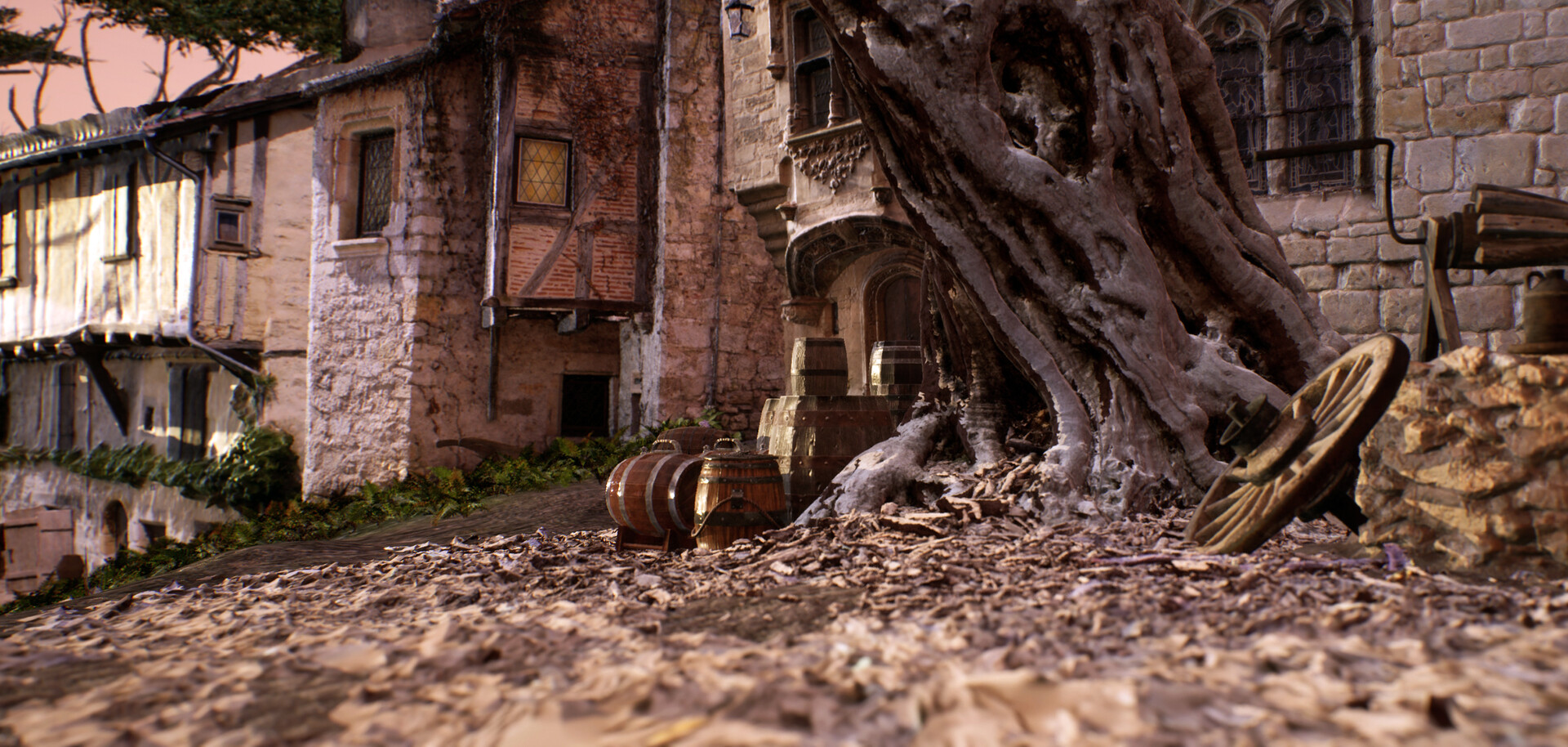 Antonio Niculae - Witcher - Beauclair