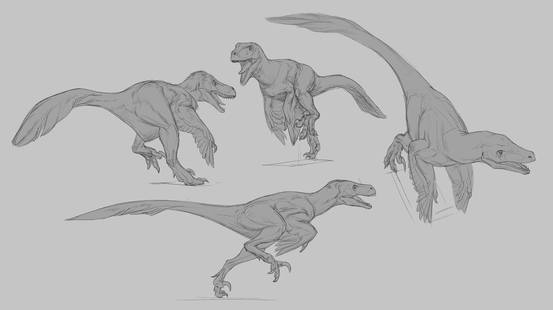 Collin Bolen - raptor drawings