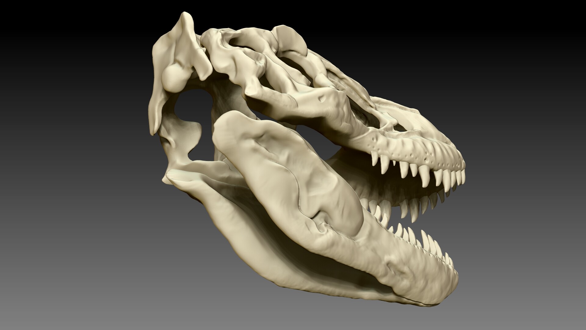 Tarbosaurus Skull