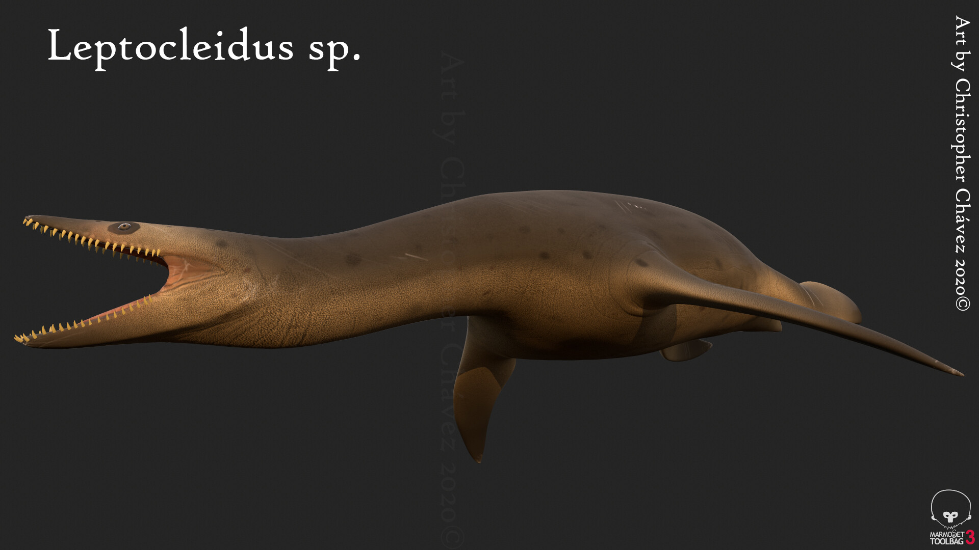 ArtStation - Leptocleidus sp.