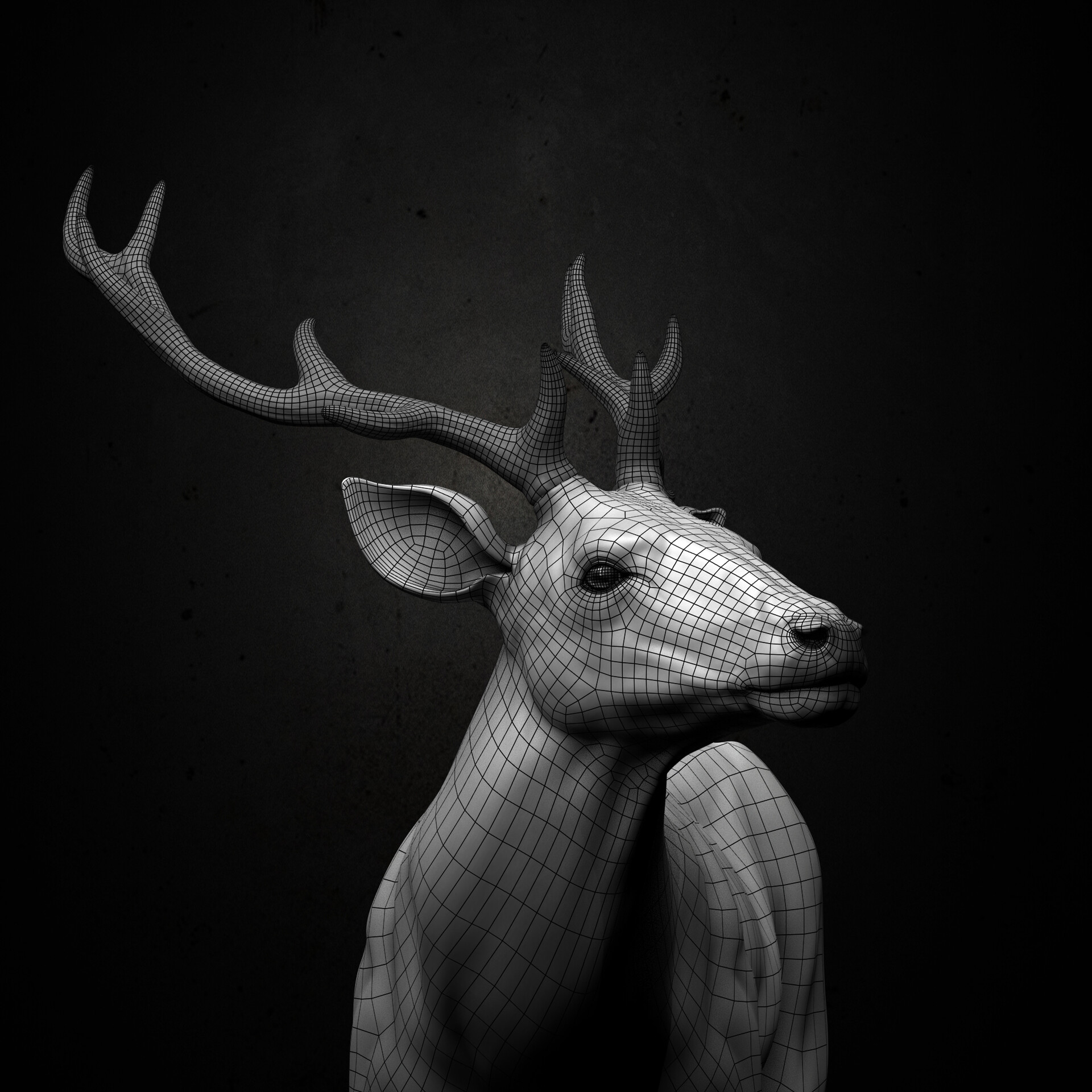 Kiran p. A - Deer_stag