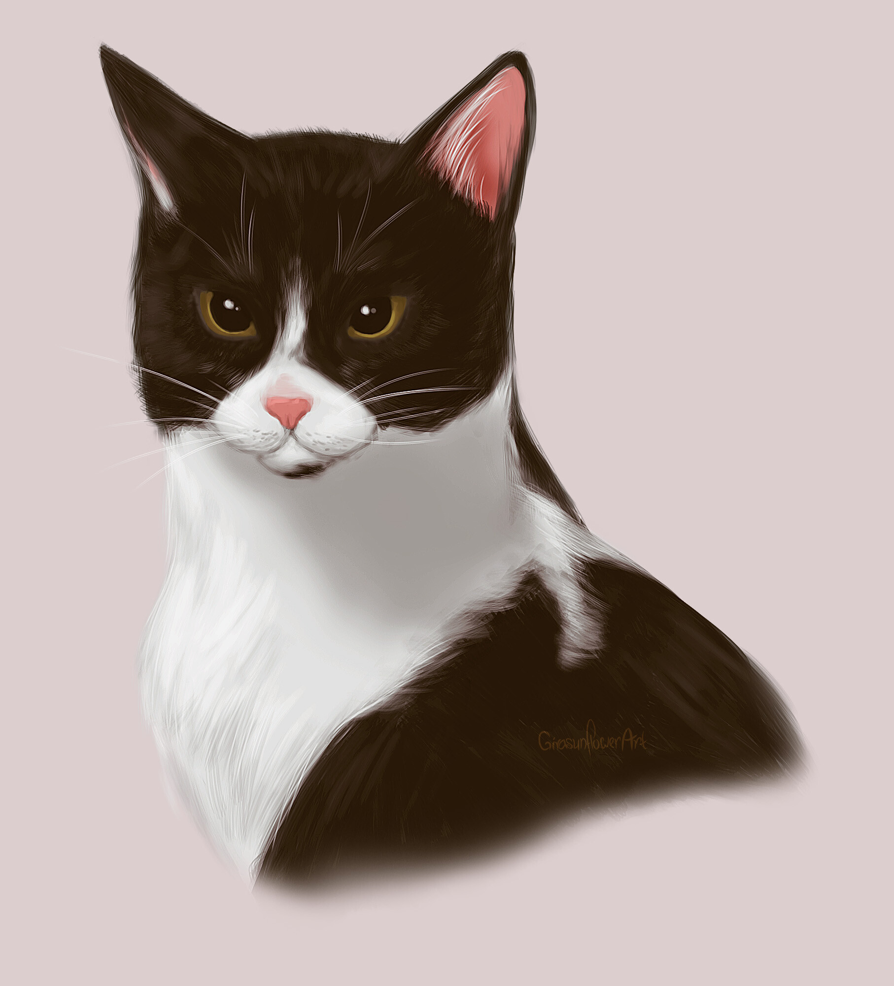 ArtStation - My cat Zelda