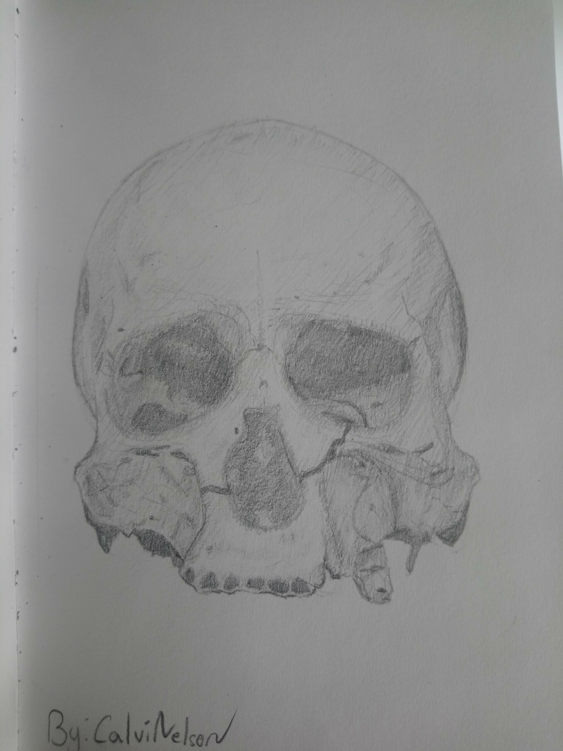 ArtStation - Skull Drawing.