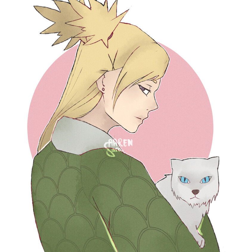 Temari Shippuden Cat