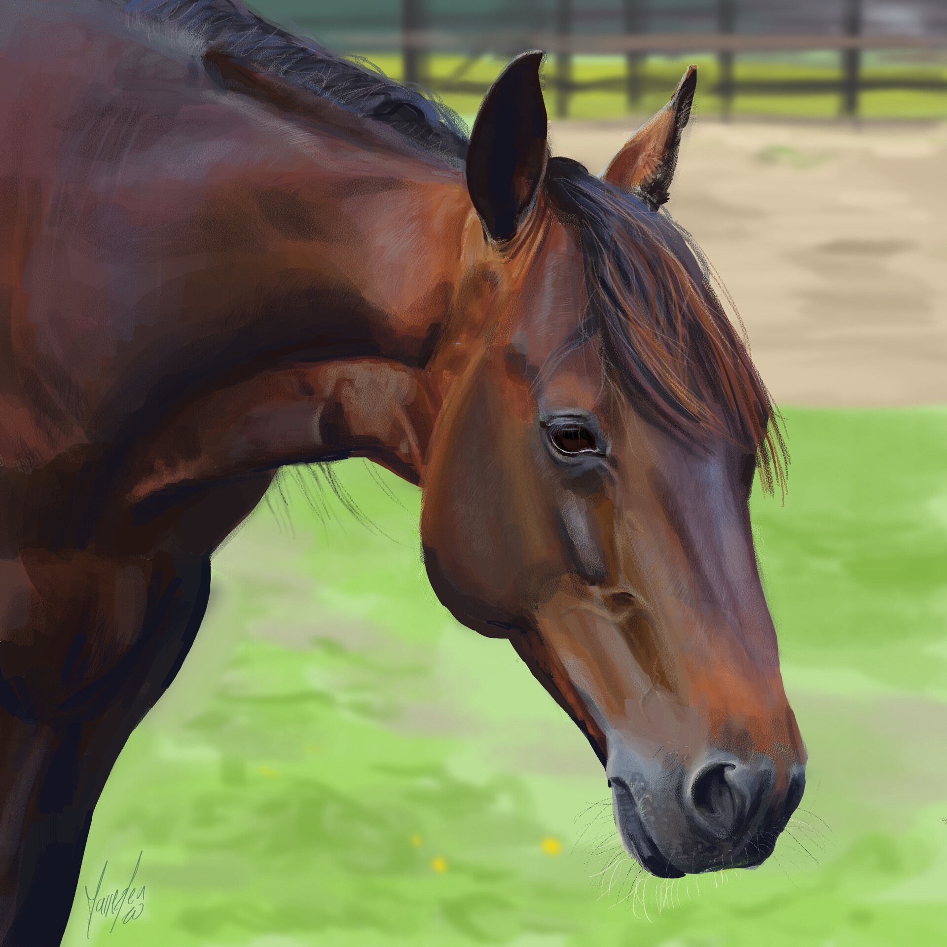 ArtStation - Horse Study
