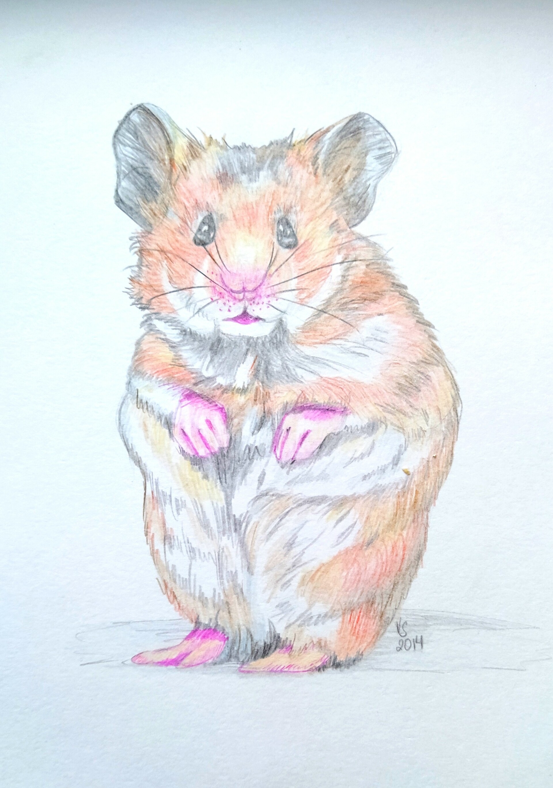 ArtStation - Hamster