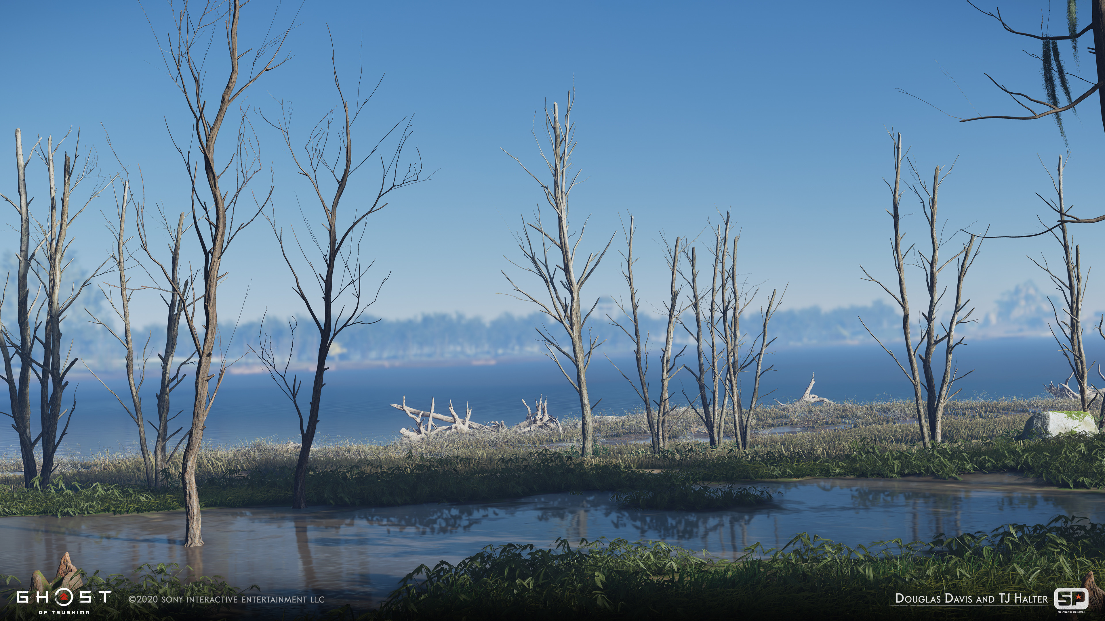 douglas-davis-douglasd-deadwetlands-01a.jpg (3840×2160)