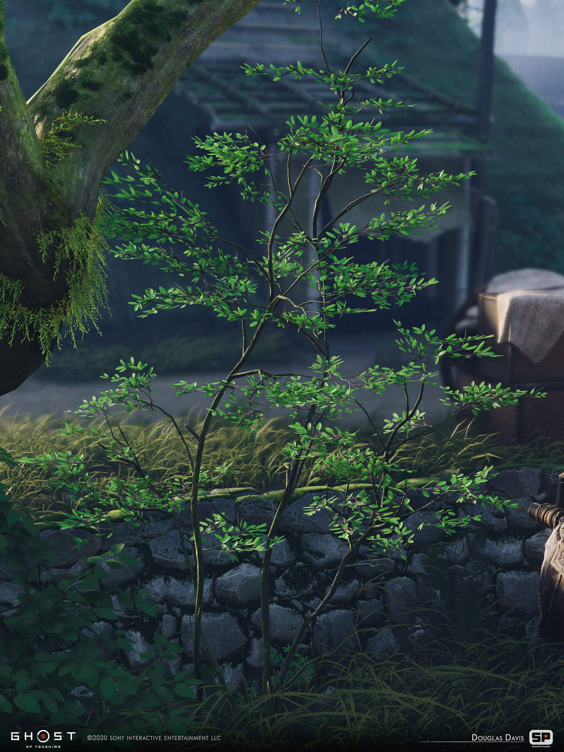 Douglas Davis - GHOST OF TSUSHIMA - Misc. Saplings
