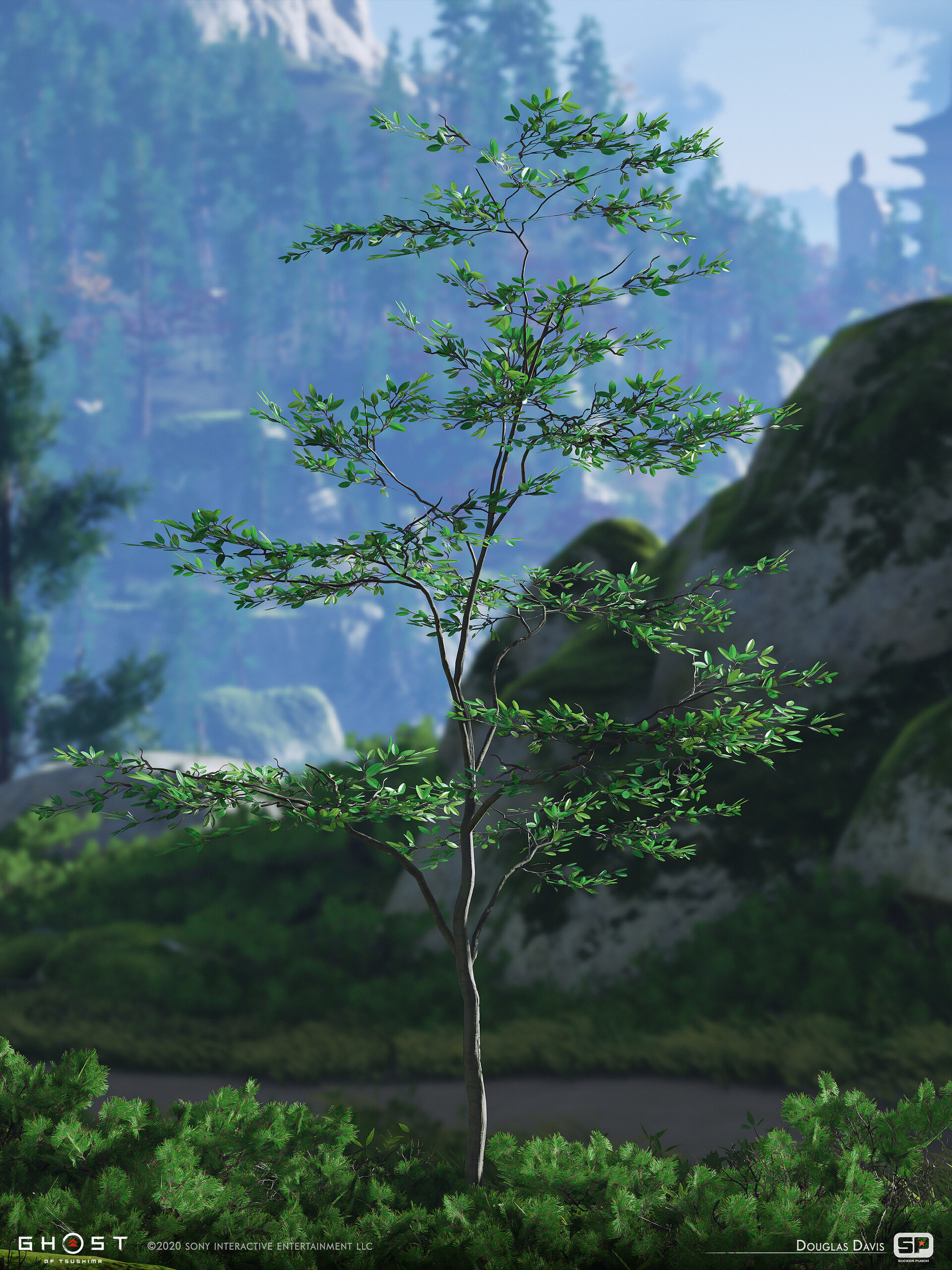 Douglas Davis - GHOST OF TSUSHIMA - Misc. Saplings