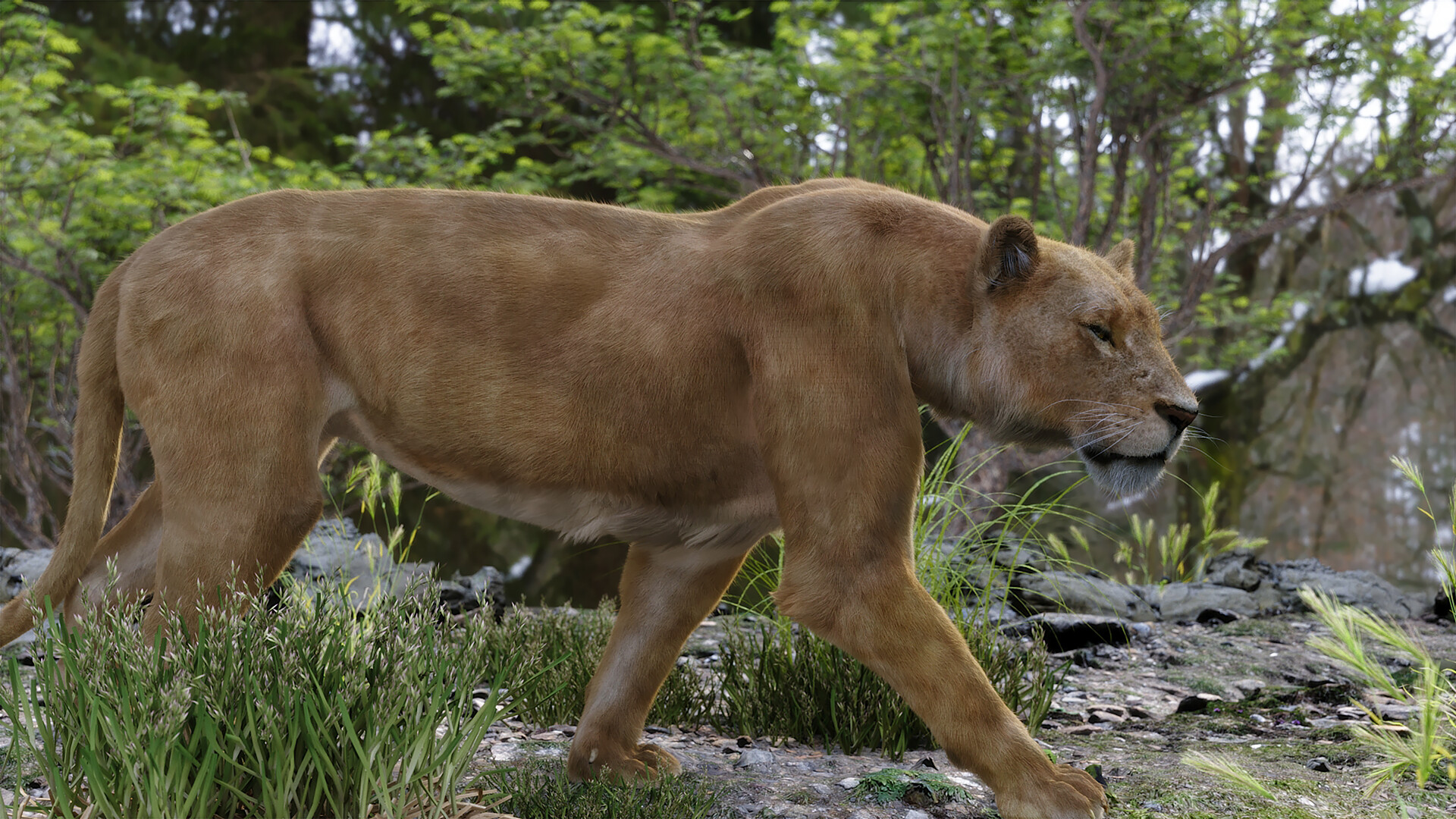 ArtStation - Lioness