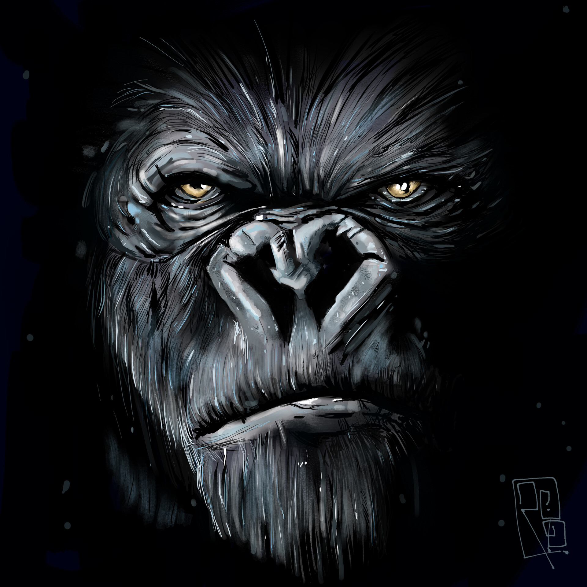 ArtStation - Macaco