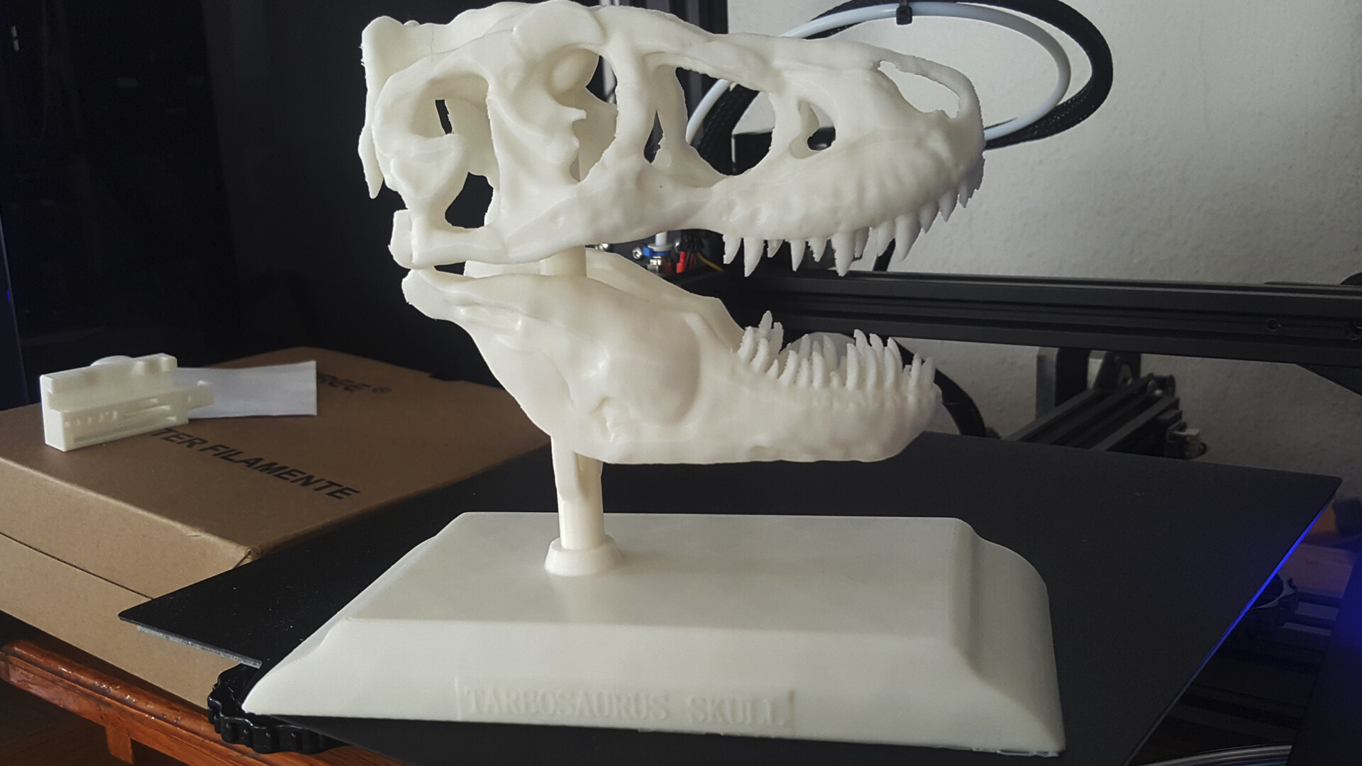 tarbosaurus skull 3d