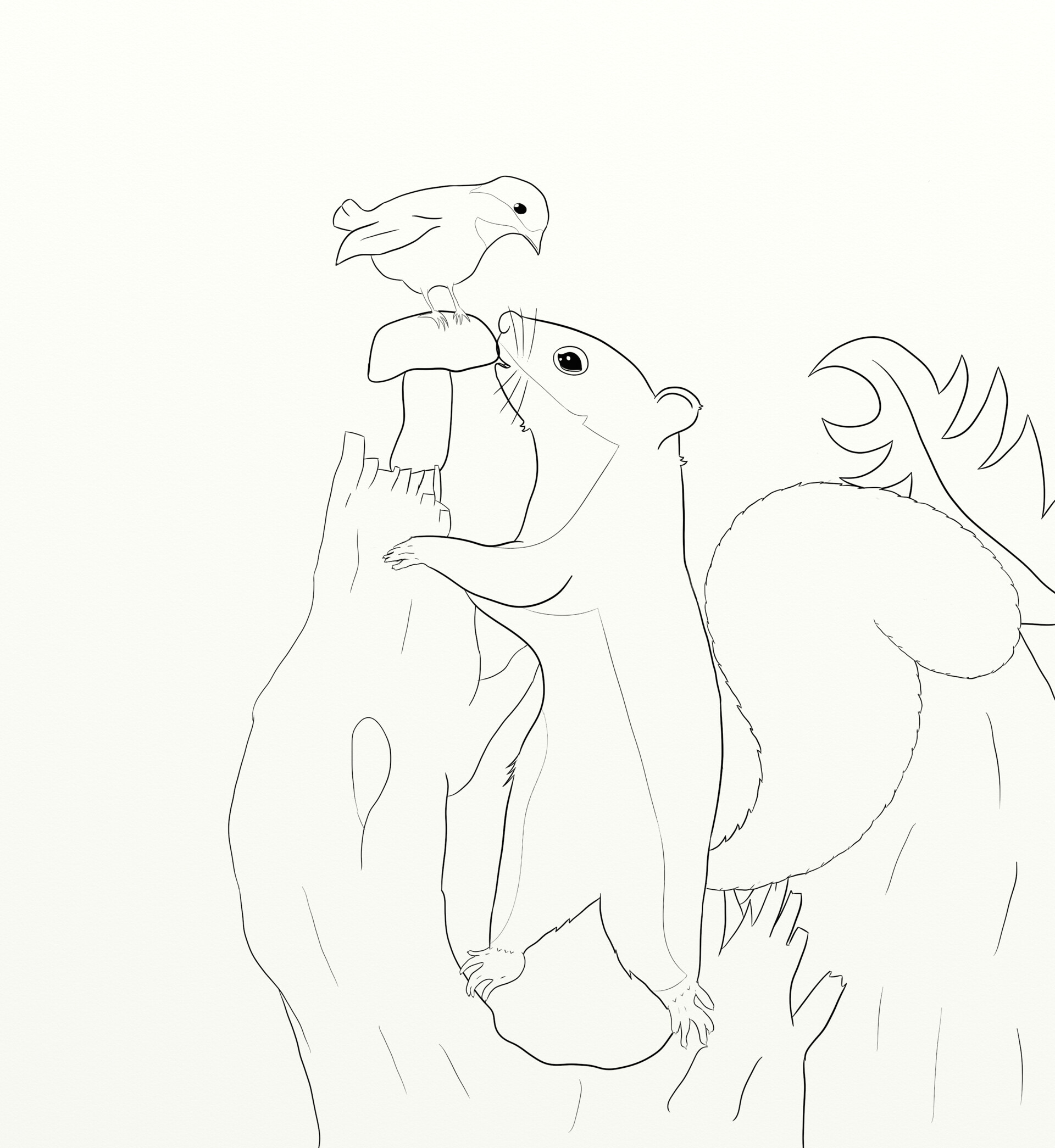 how to draw bird and squirrel