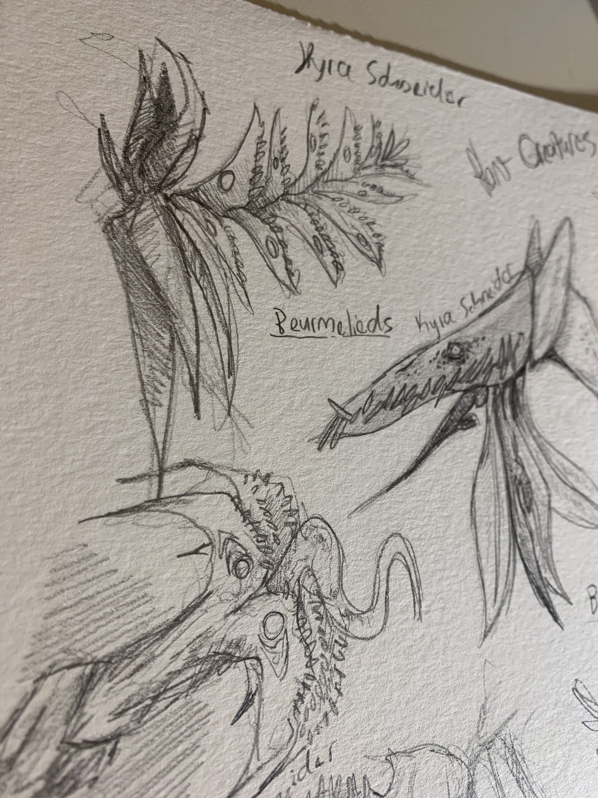 Kyra Schneider - Plant Creatures