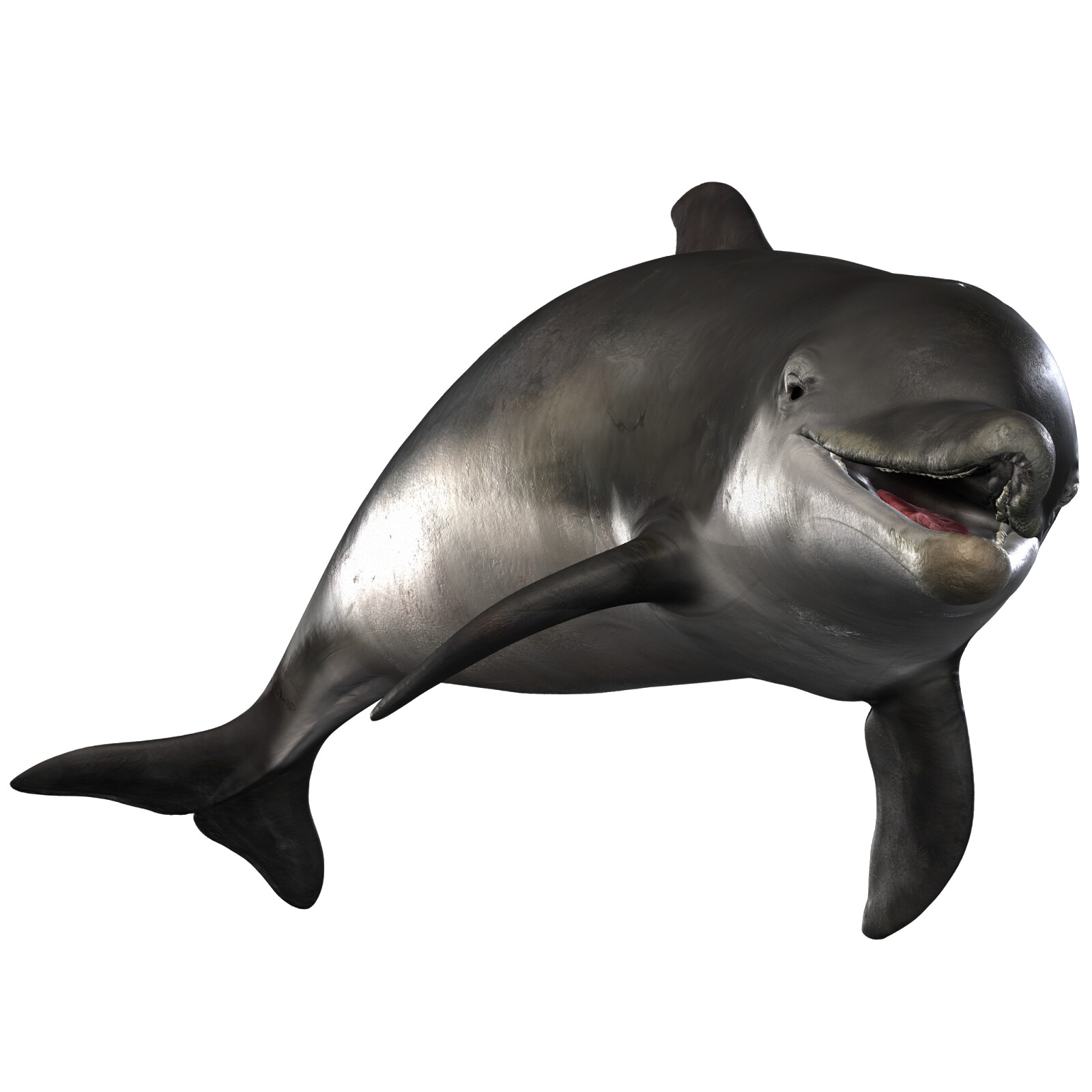 ArtStation - SeaWorld Orlando_360 Degree Dome Theater (TurtleTrek)