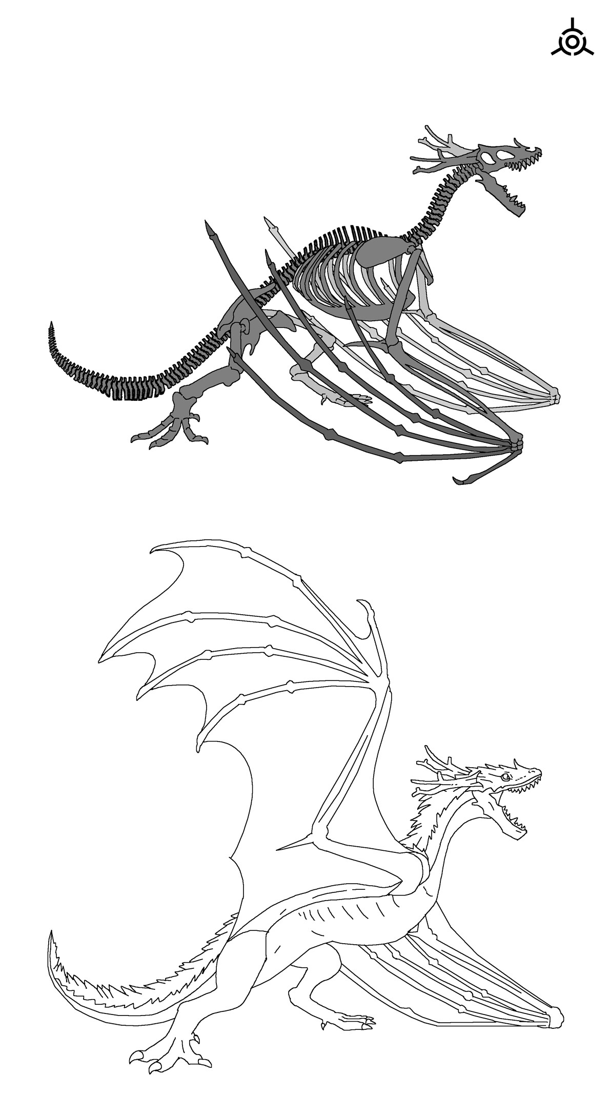 dragon skeleton drawing reference