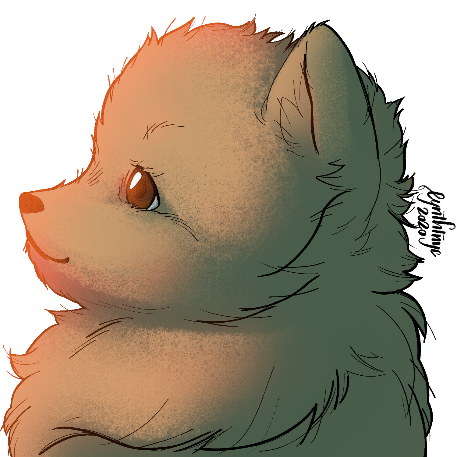 Cynthia Fujii - Family dog portraits