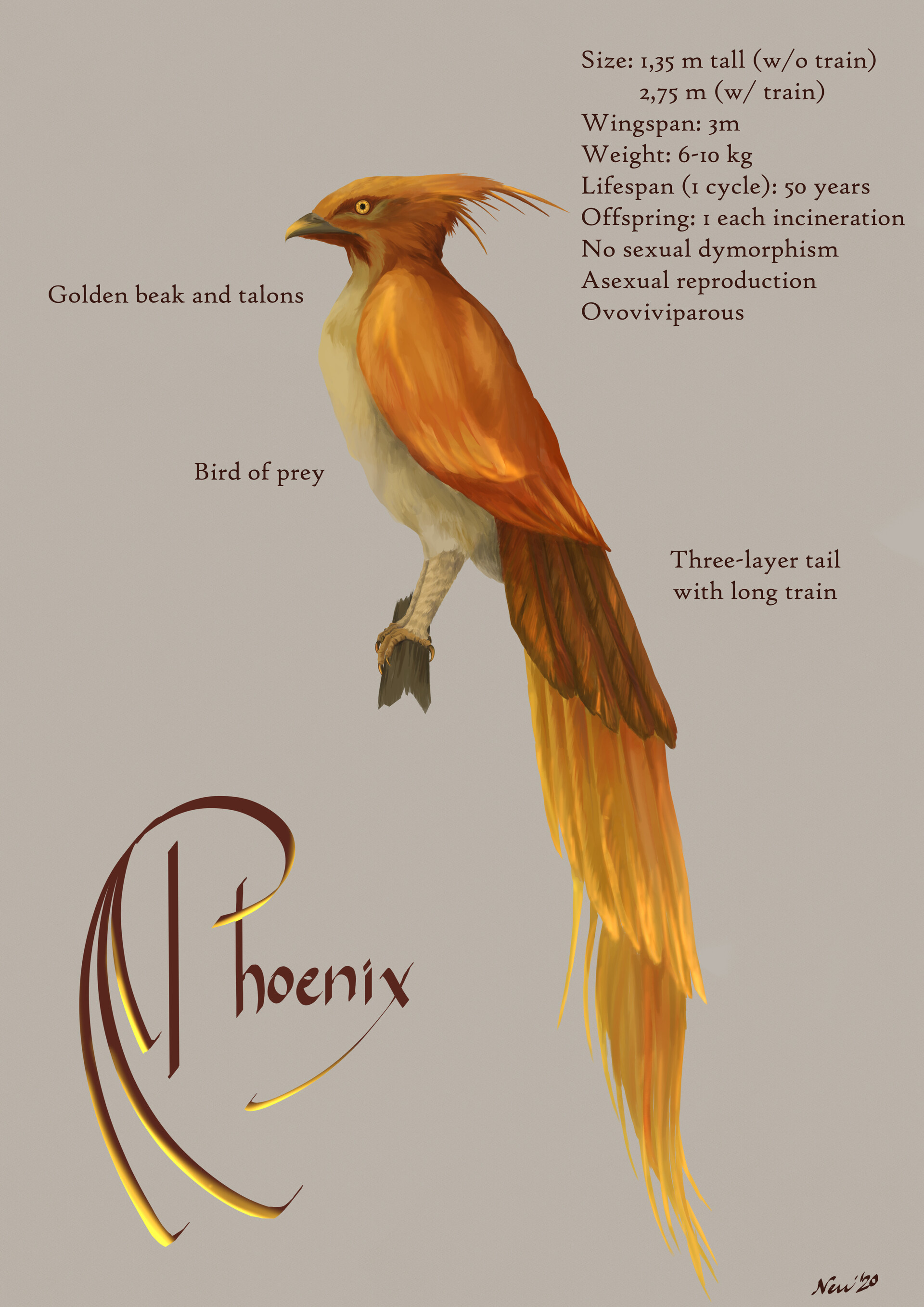 ArtStation - Phoenix