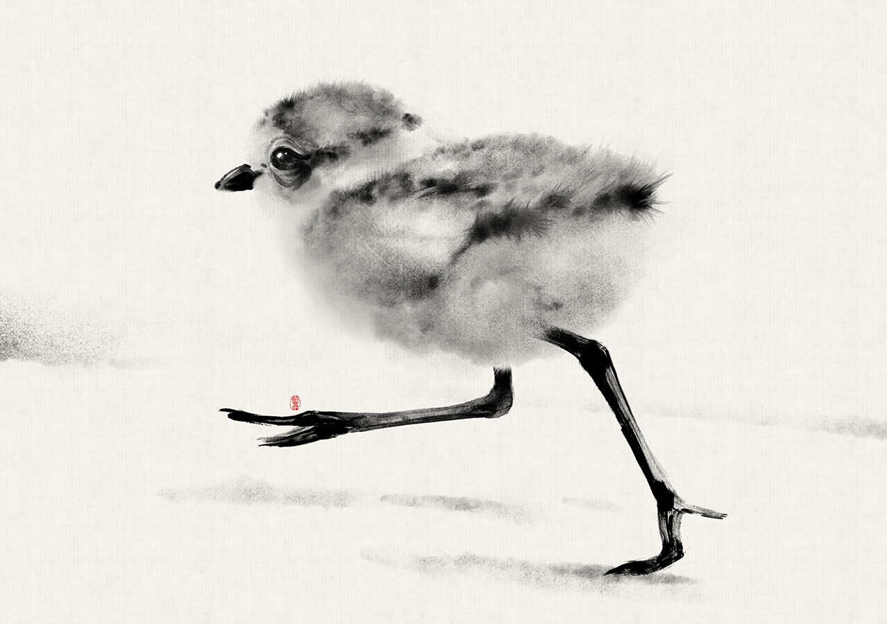 ArtStation - practice- running bird