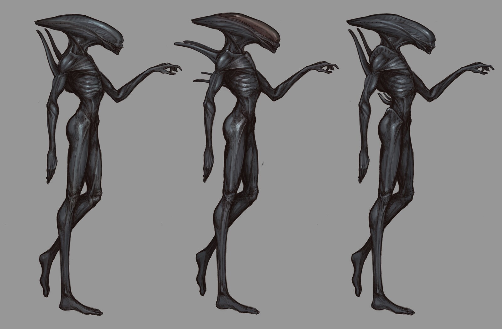 Molly Brown - Neomorph Redesign Project