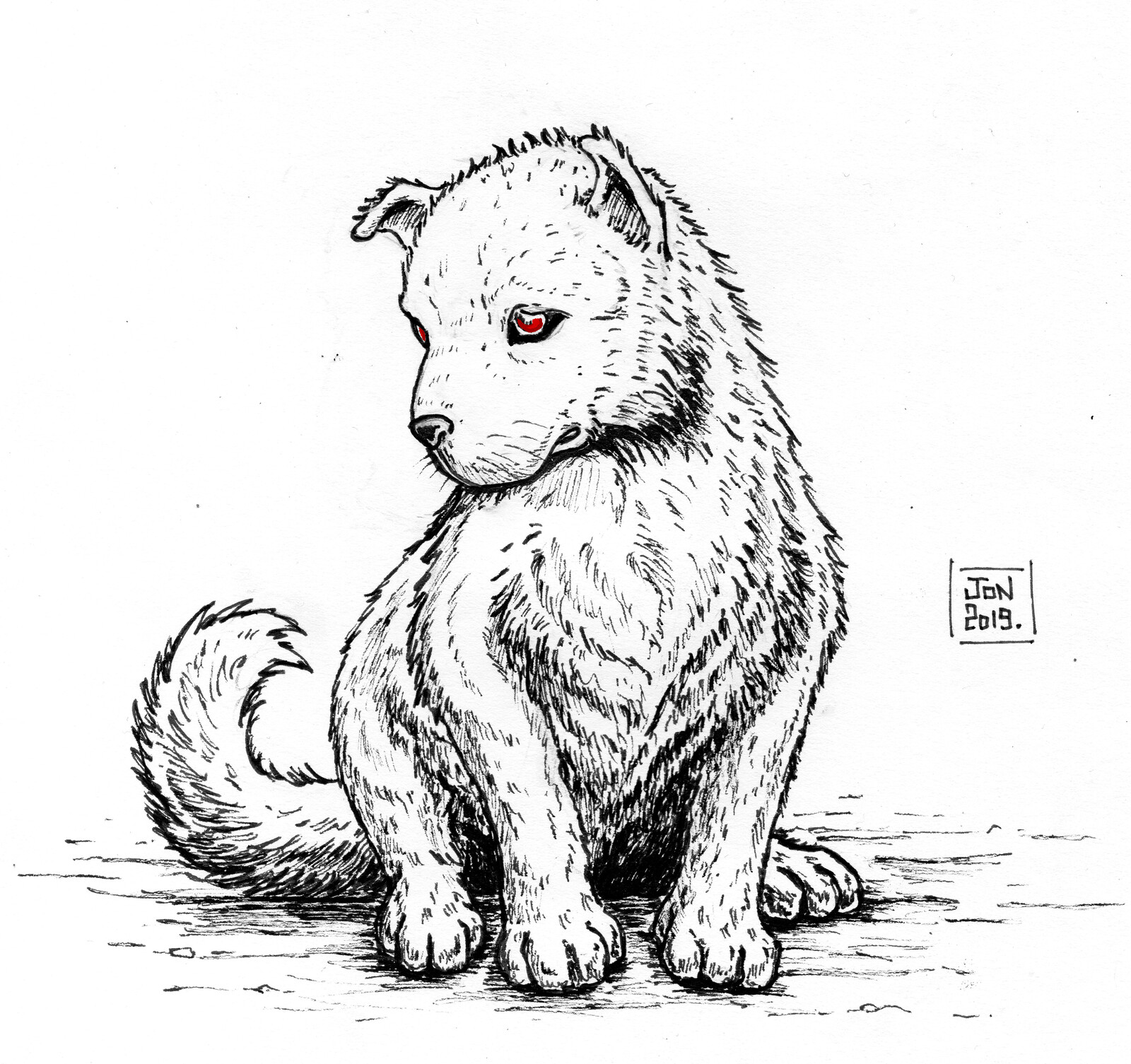 Jonathan Terrasse - LOUP