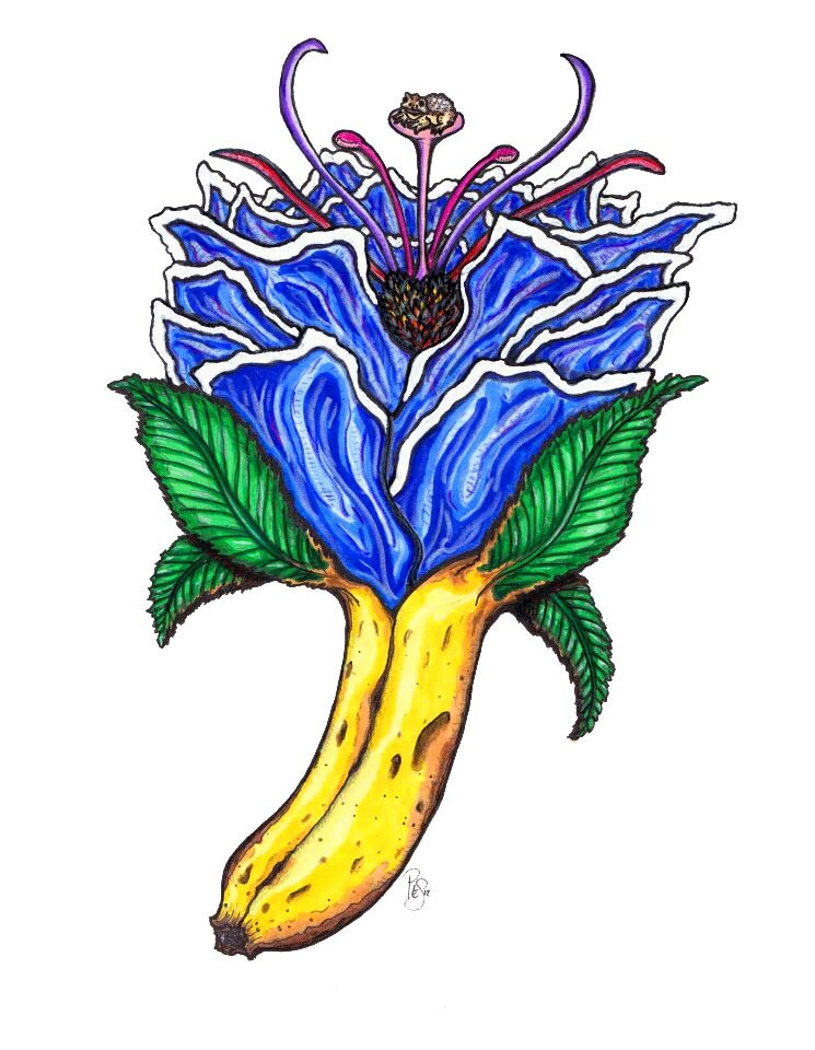 ArtStation - Banana Flower