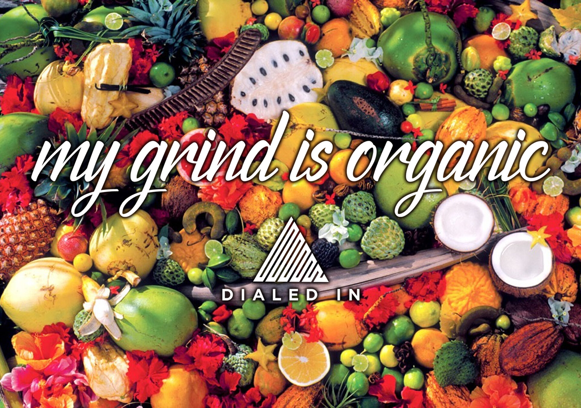 Preston Linderman - Digital Brand Designer - MGIO (My Grind Is Organic)