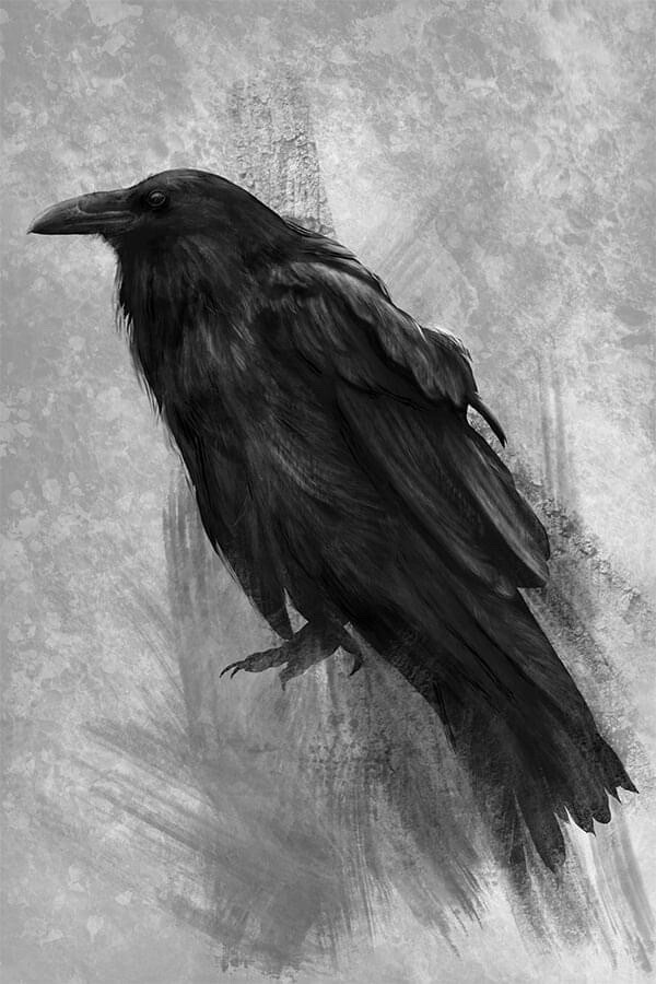 ArtStation - Study for Roäc, son of Carc, Chief of the Ravens of ...