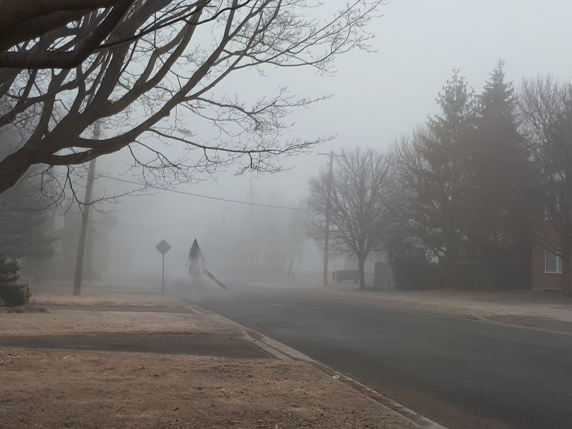 Pyramid Head Costume Fog