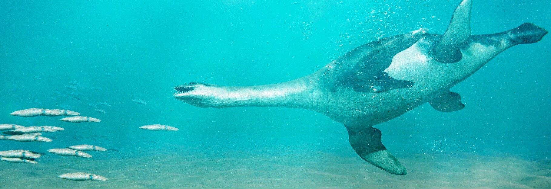 Robert Rose - Plesiosaur in a Shallow Sea