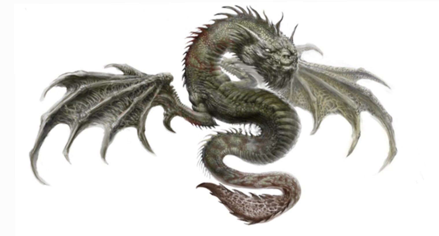 ArtStation - Amphiptere