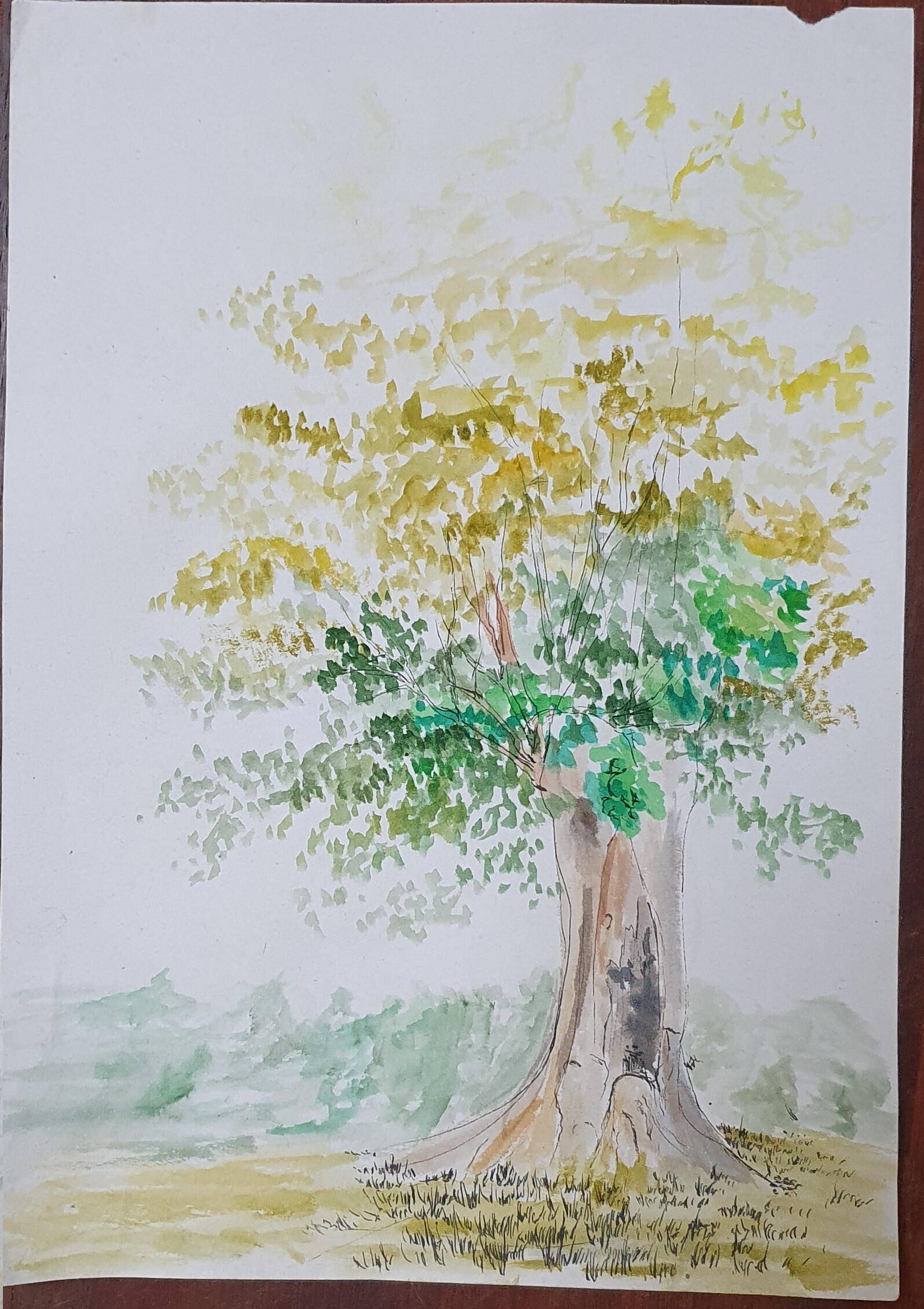 ArtStation - A Tree - Watercolor