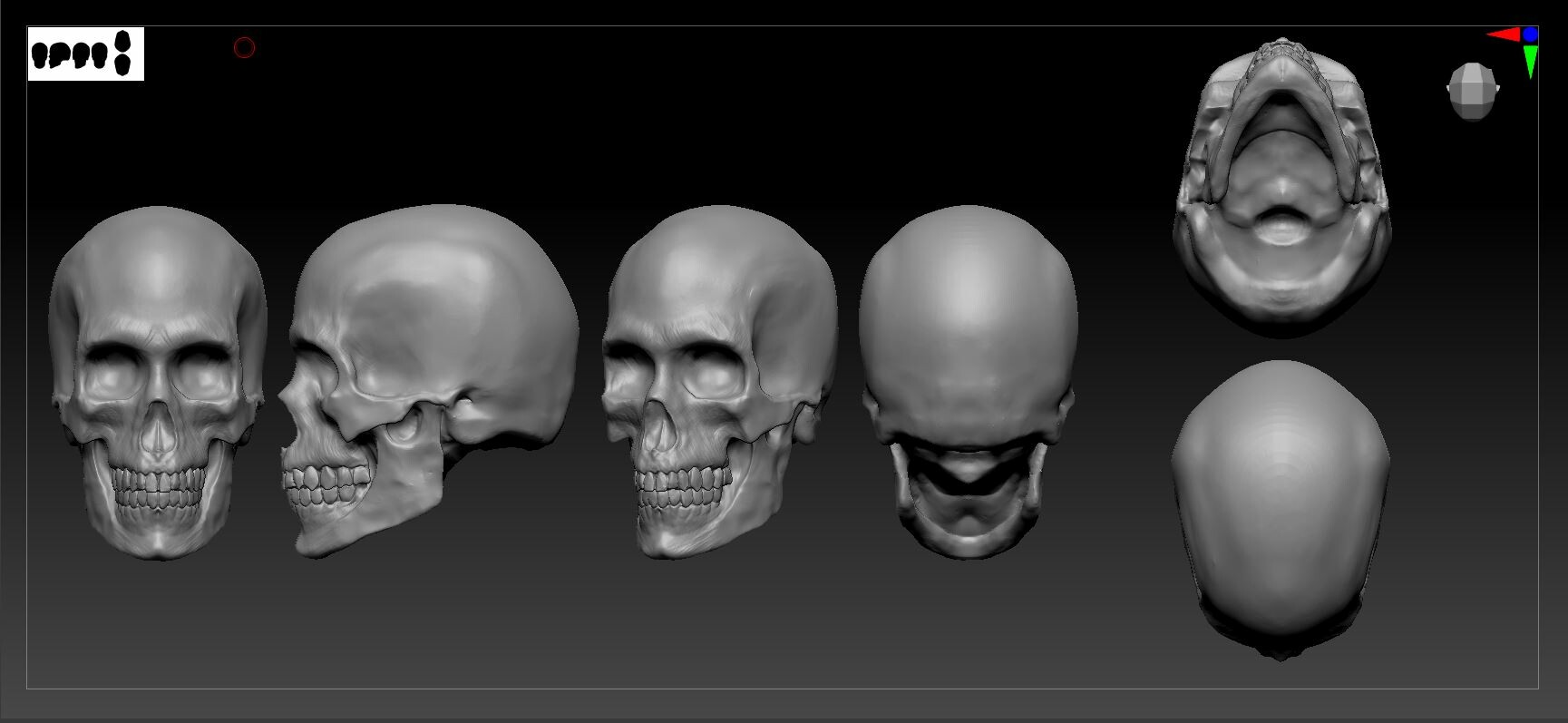 ArtStation - Skull Practice