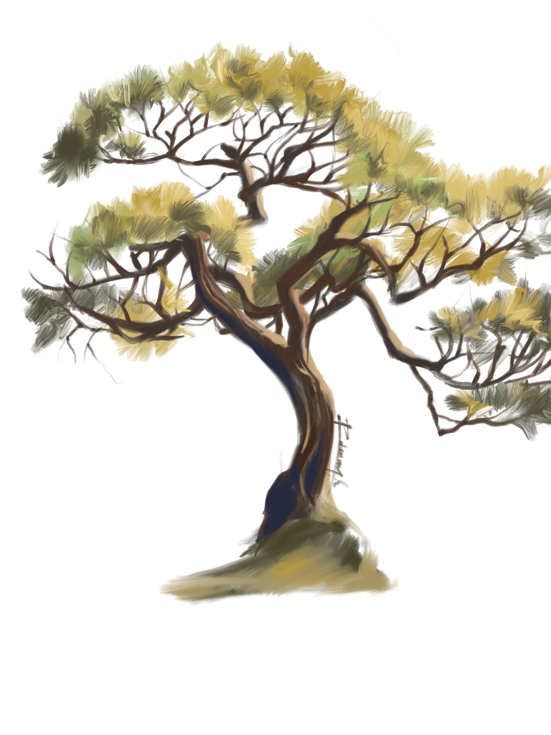 ArtStation - Tree study