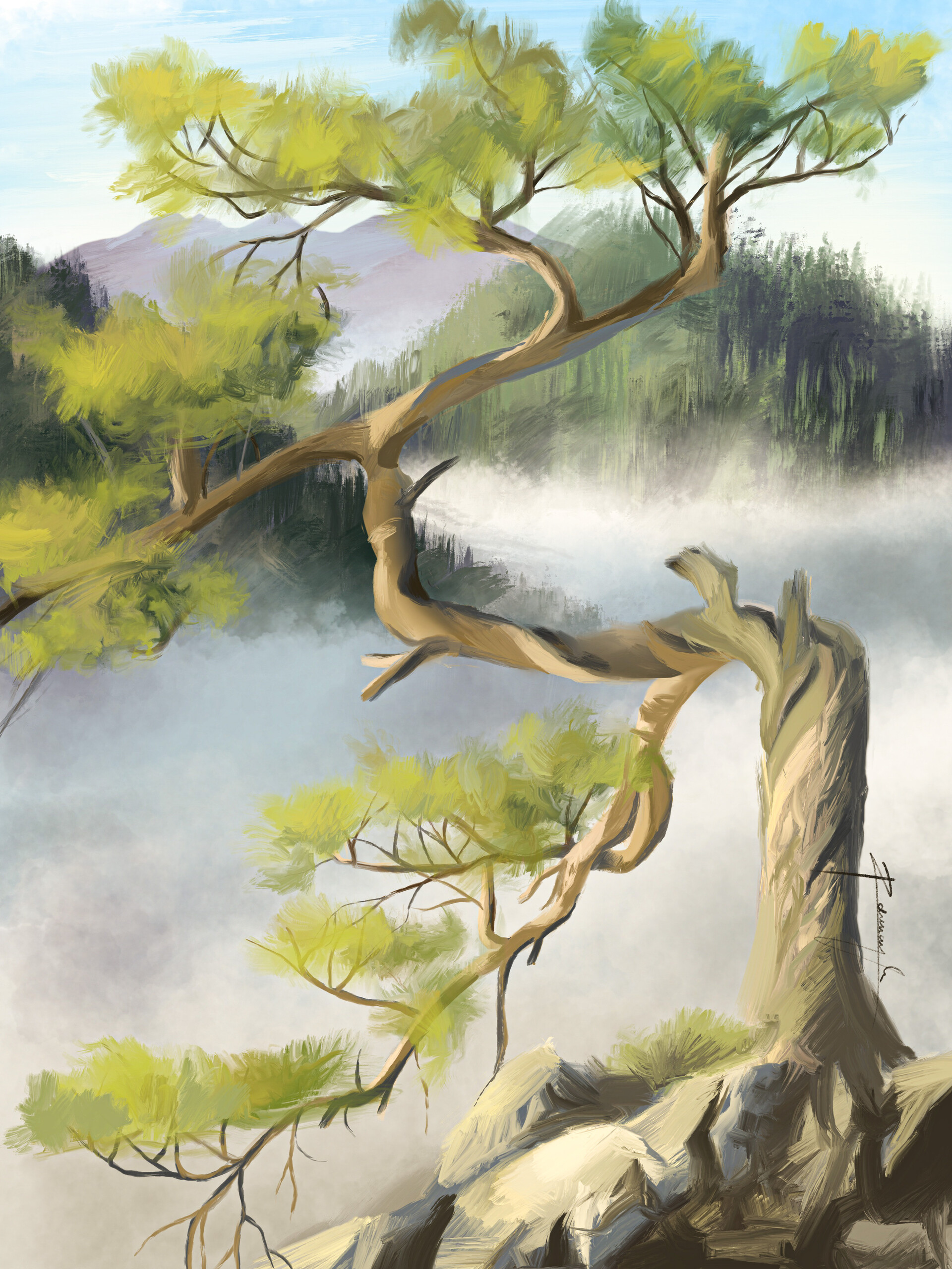 ArtStation - Tree study