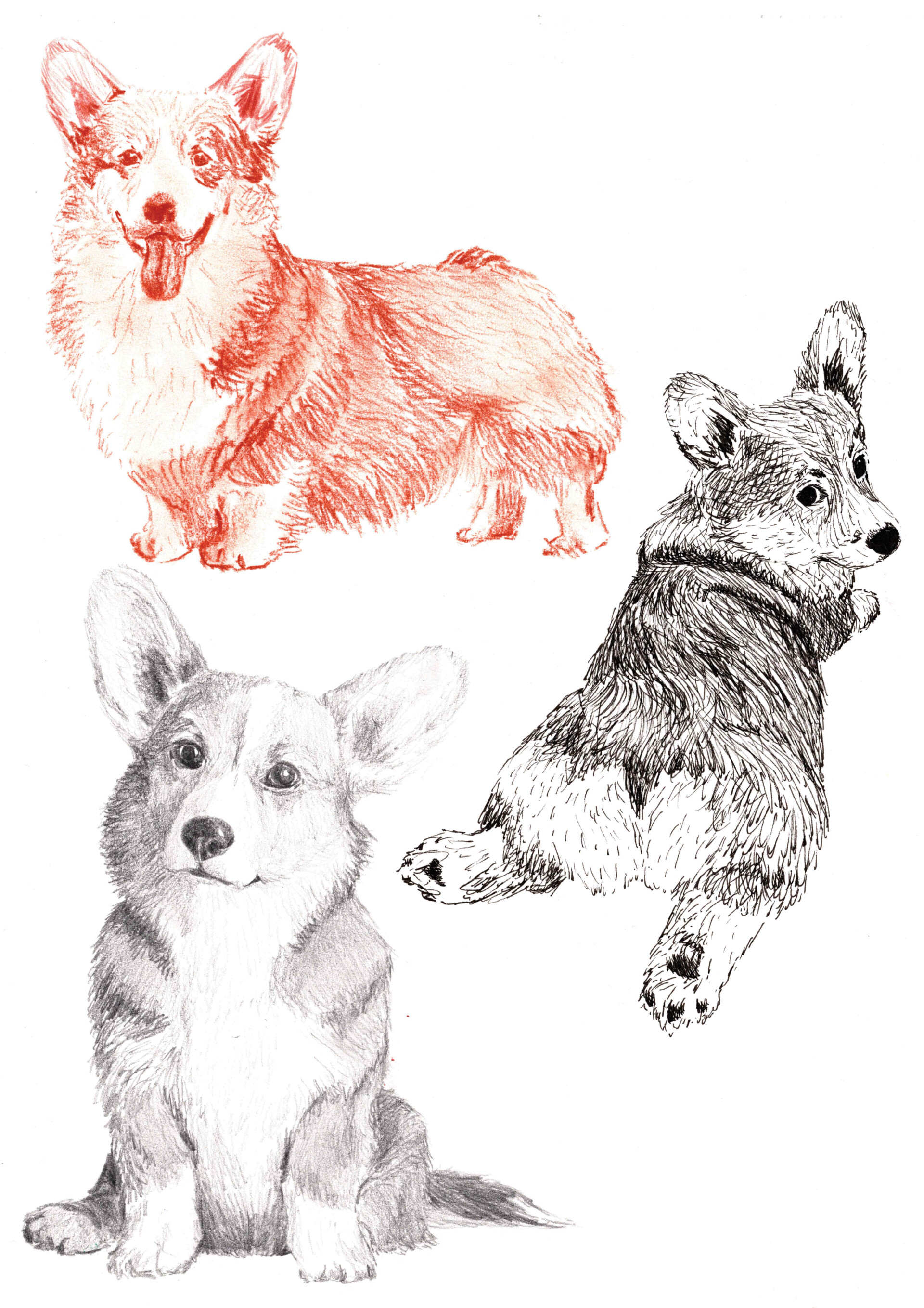 ArtStation - 3 Cute Corgis