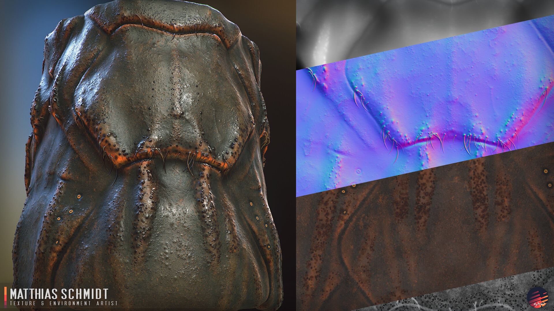 Matthias Schmidt - Scorpion Skin - Substance