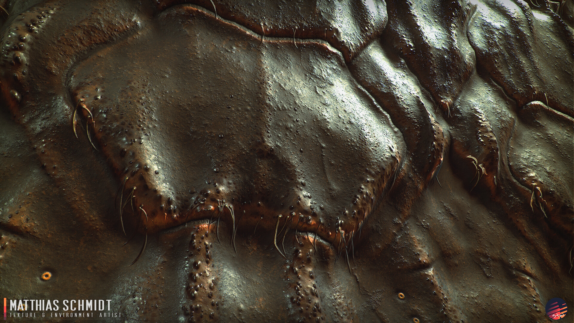 Matthias Schmidt - Scorpion Skin - Substance