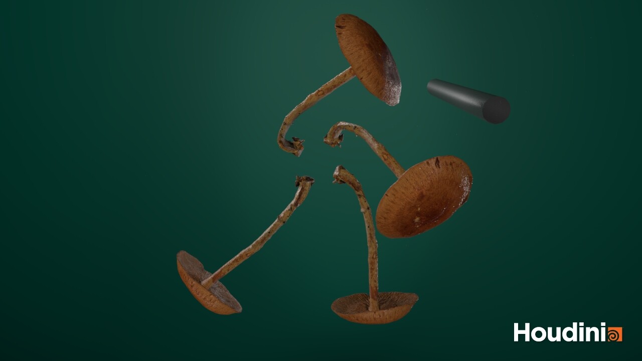 ArtStation - Vellum Softbody Mushrooms (Houdini)