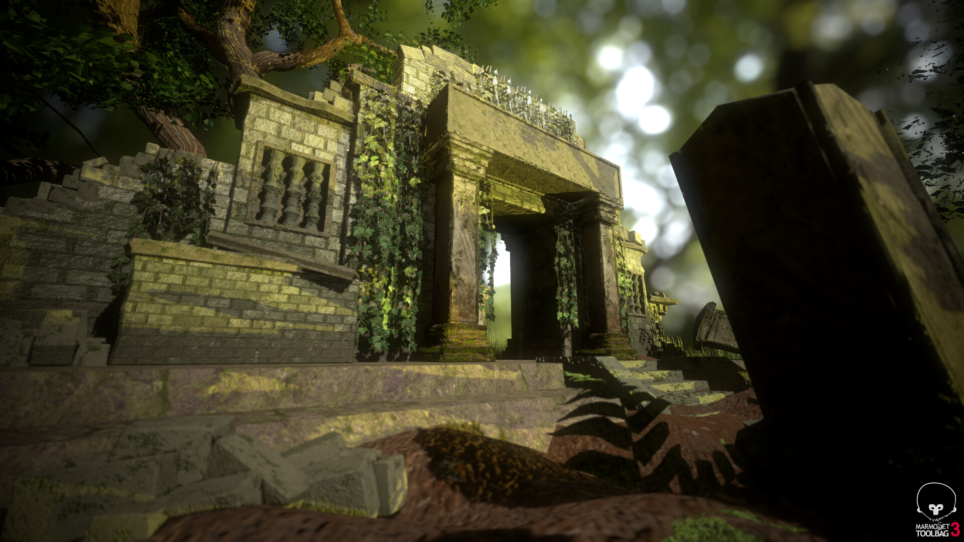 Alson Chew - Mayan Temple Ruins