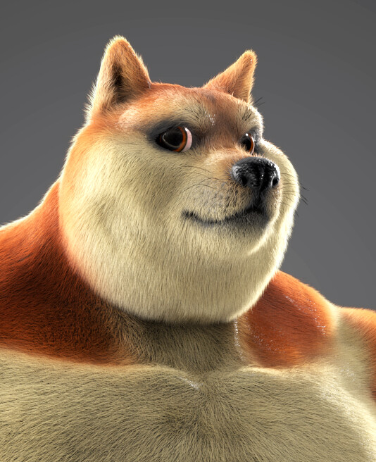 Doge Render