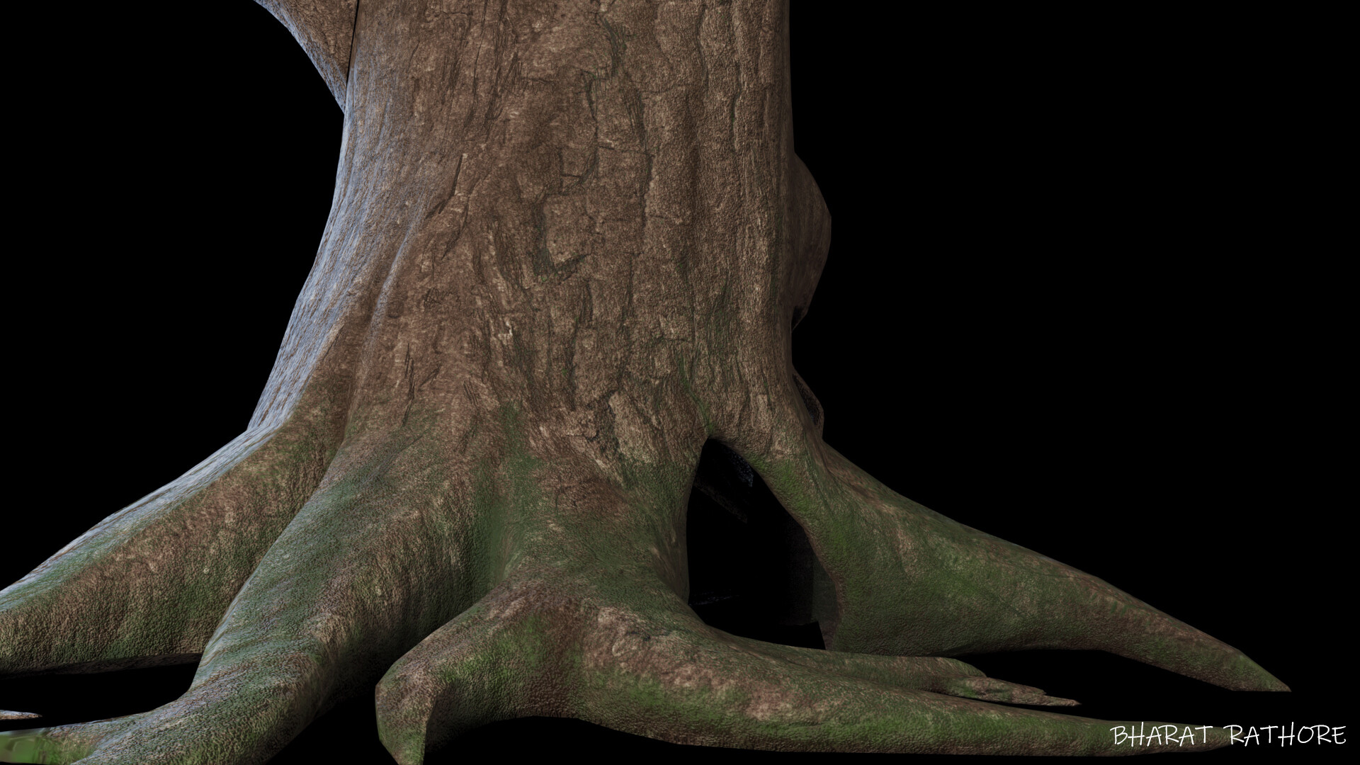 ArtStation - Tree Texturing